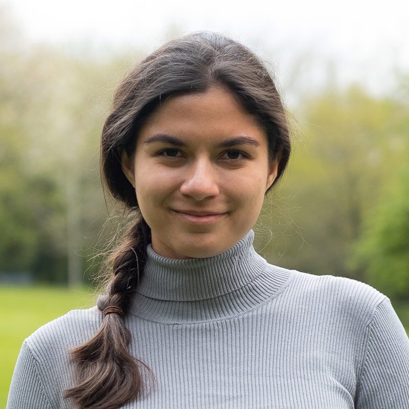 Meet Our Team of Renewable Energy Experts | Mesh Energy