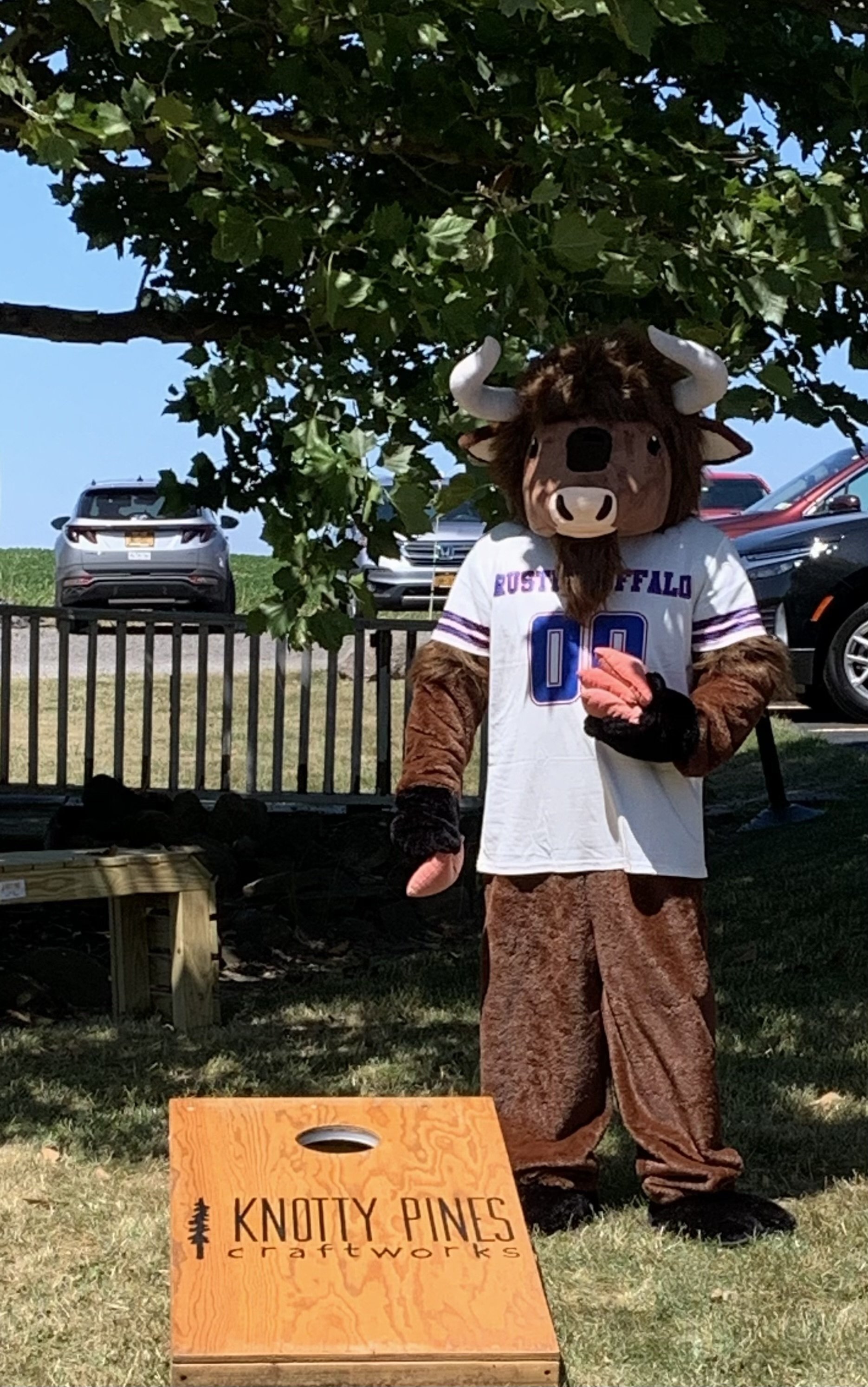 Family Fun; Family Photo Area | North Tonawanda, NY | Rustic Buffalo ...