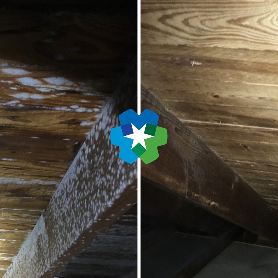 Professional Mold Cleanup South Carolina | Mastertech Myrtle Beach SC