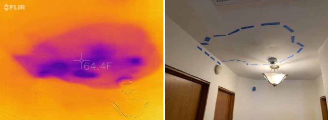Infrared Thermal Imaging for Mold and Moisture Detection