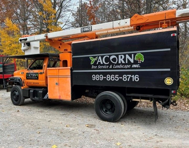Tree Service – Saginaw, MI – Acorn Tree Service