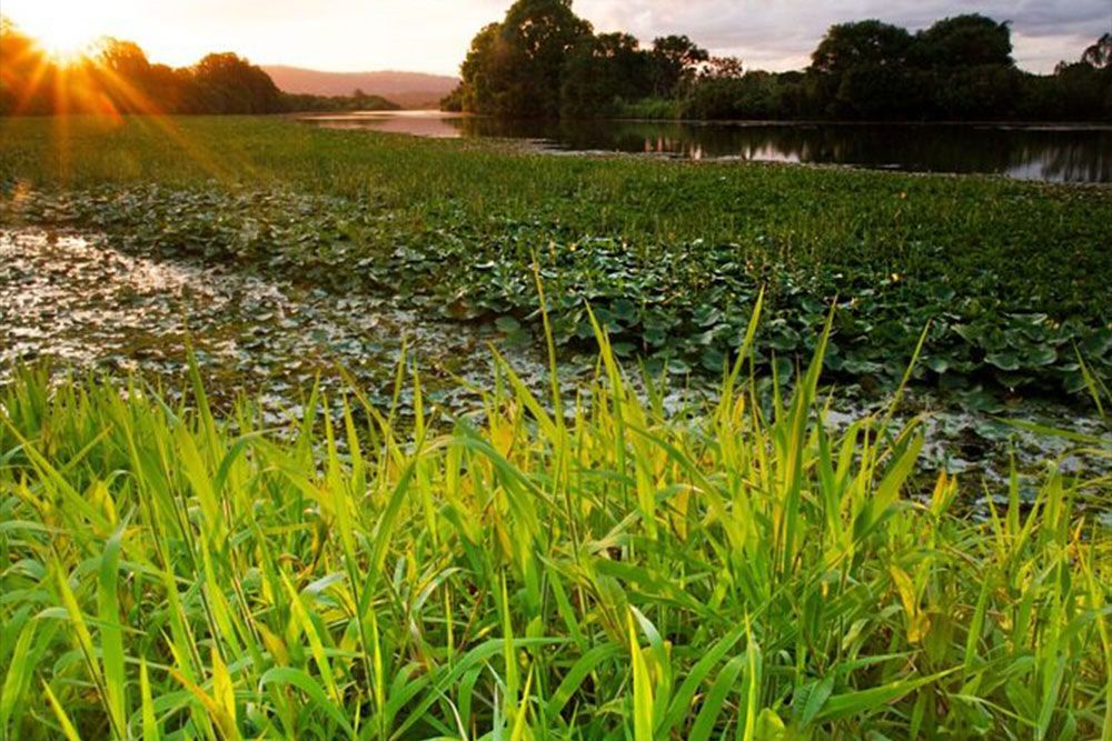 Gravel Gold Coast | Mudgeeraba Landscape Centre