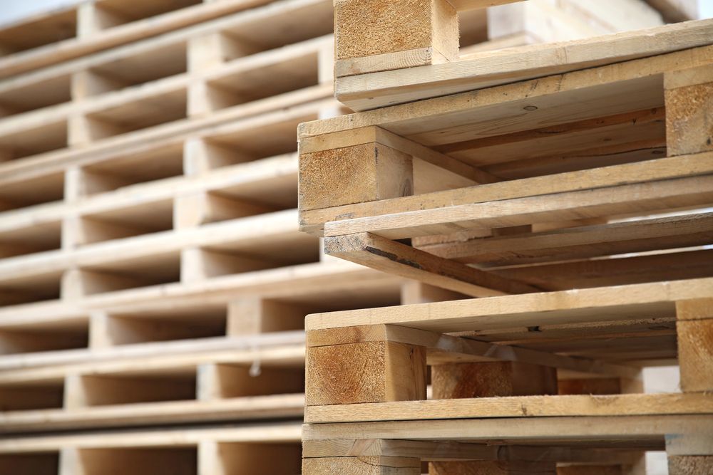 Pallets vs. Skids: Key Uses & Differences | Advance Pallet