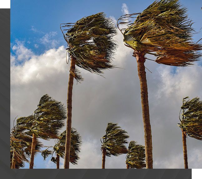 Wind Mitigation Services | Roof Smart of SW Florida, LLC | SW Florida