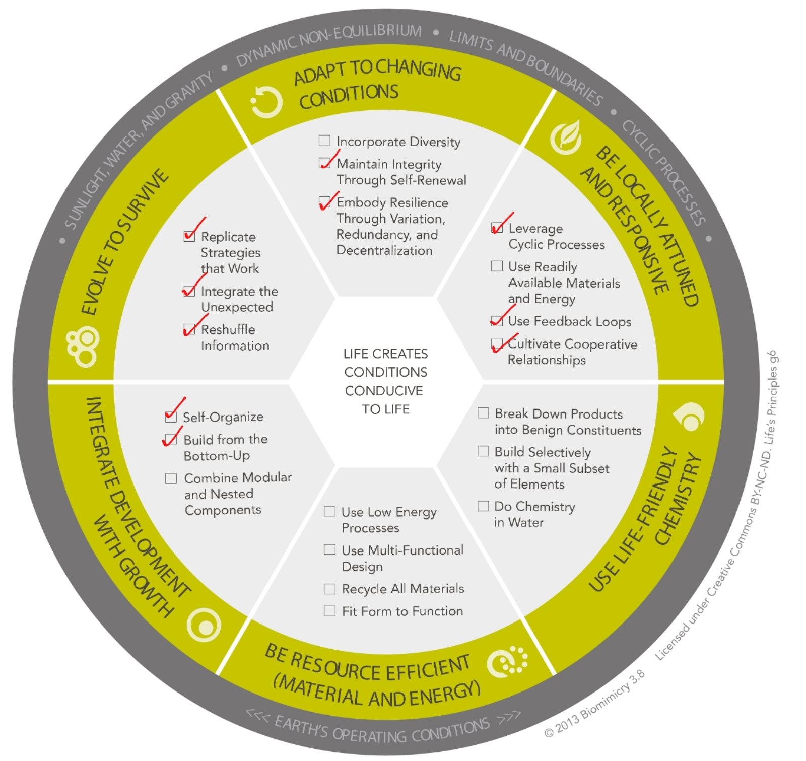 Mpophomeni Biomimicry
