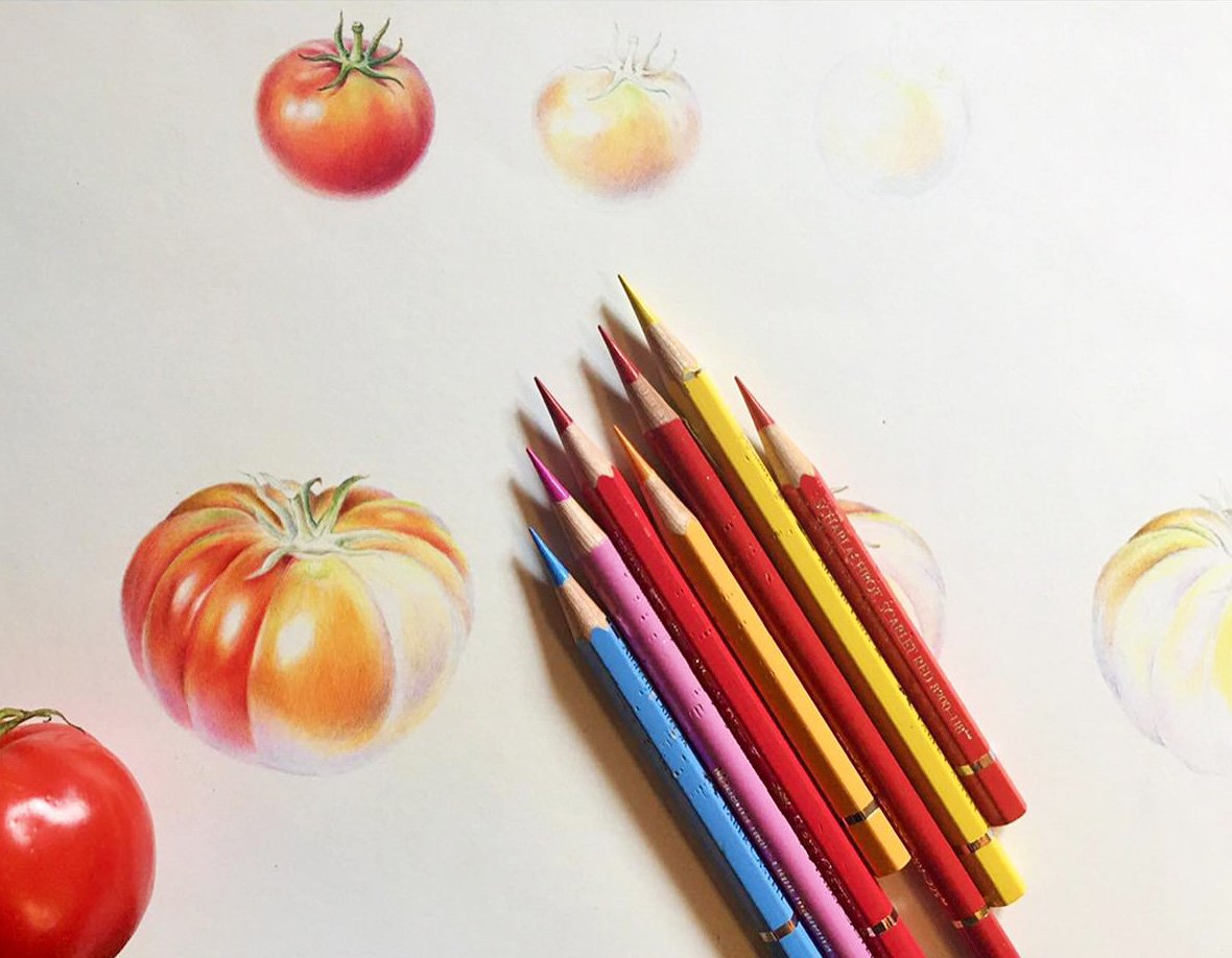 Crystal Shin | Botanical art classes | In person and online