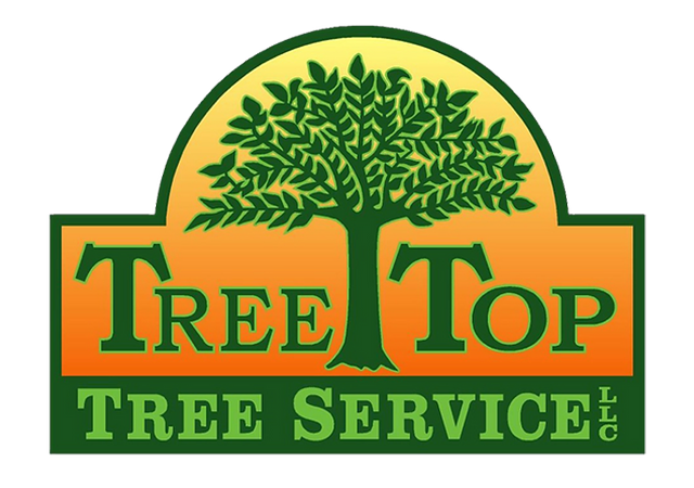 Tree Services Company | Bowie, MD | Tree Top Tree Service