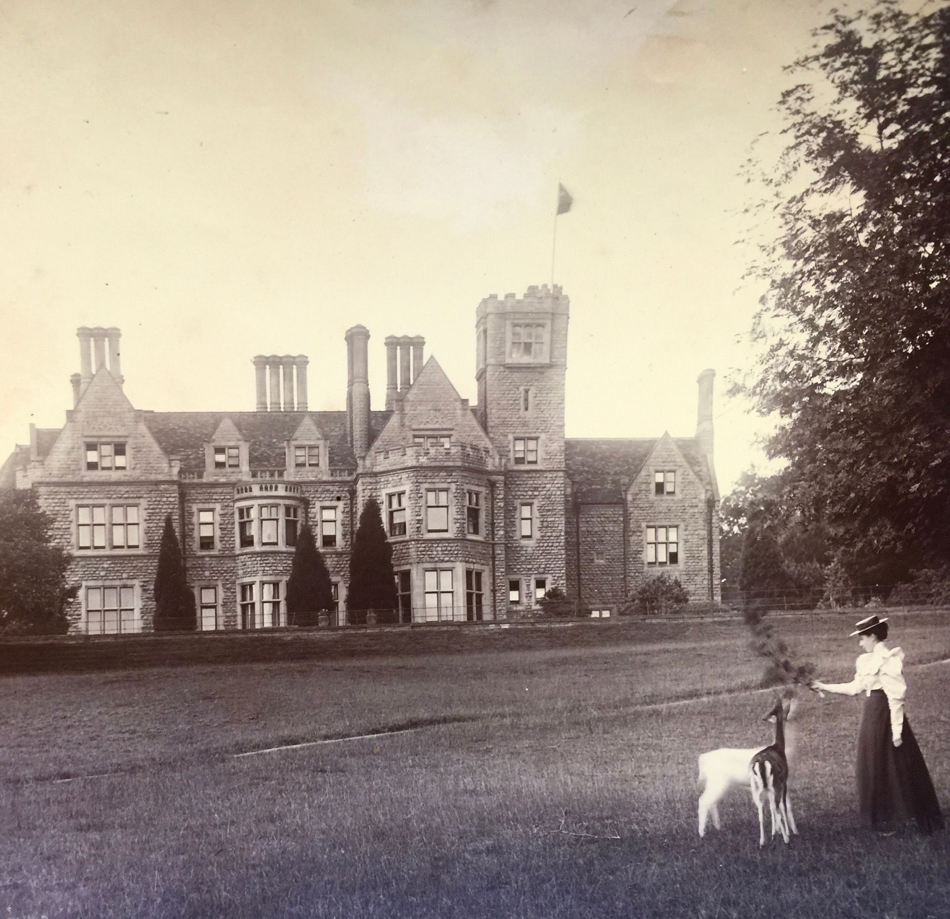 History of Lydney Park Estate