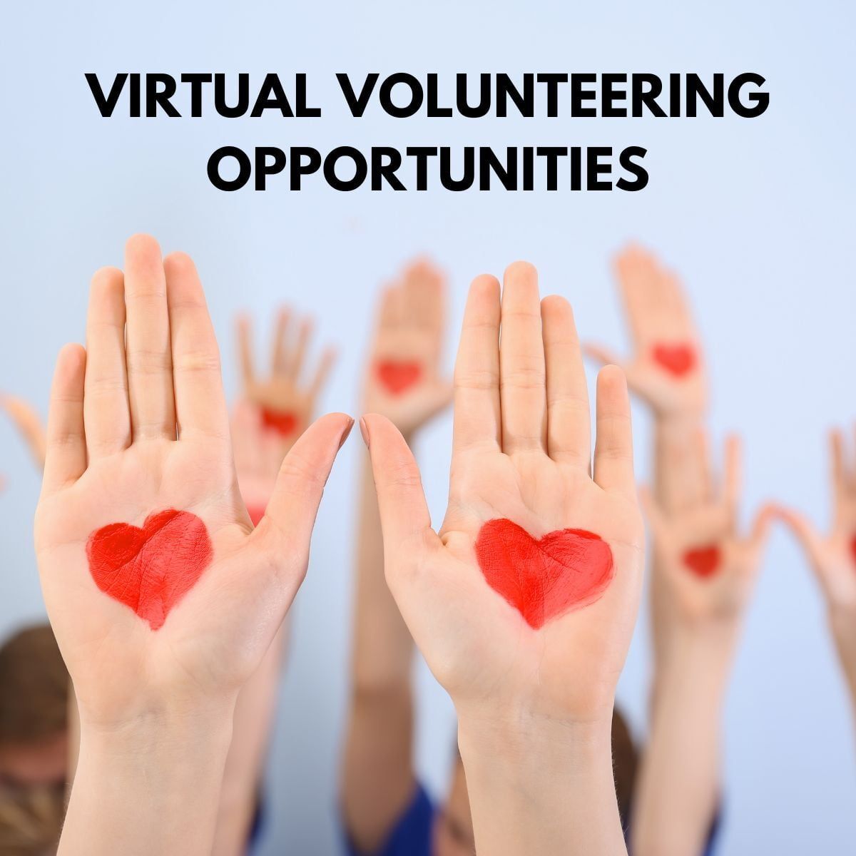 Virtual Volunteering | Team Everest