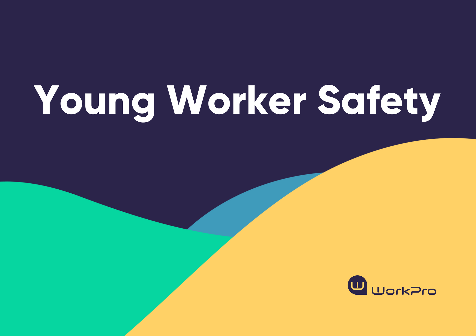 Workforce Compliance eBooks | WorkPro