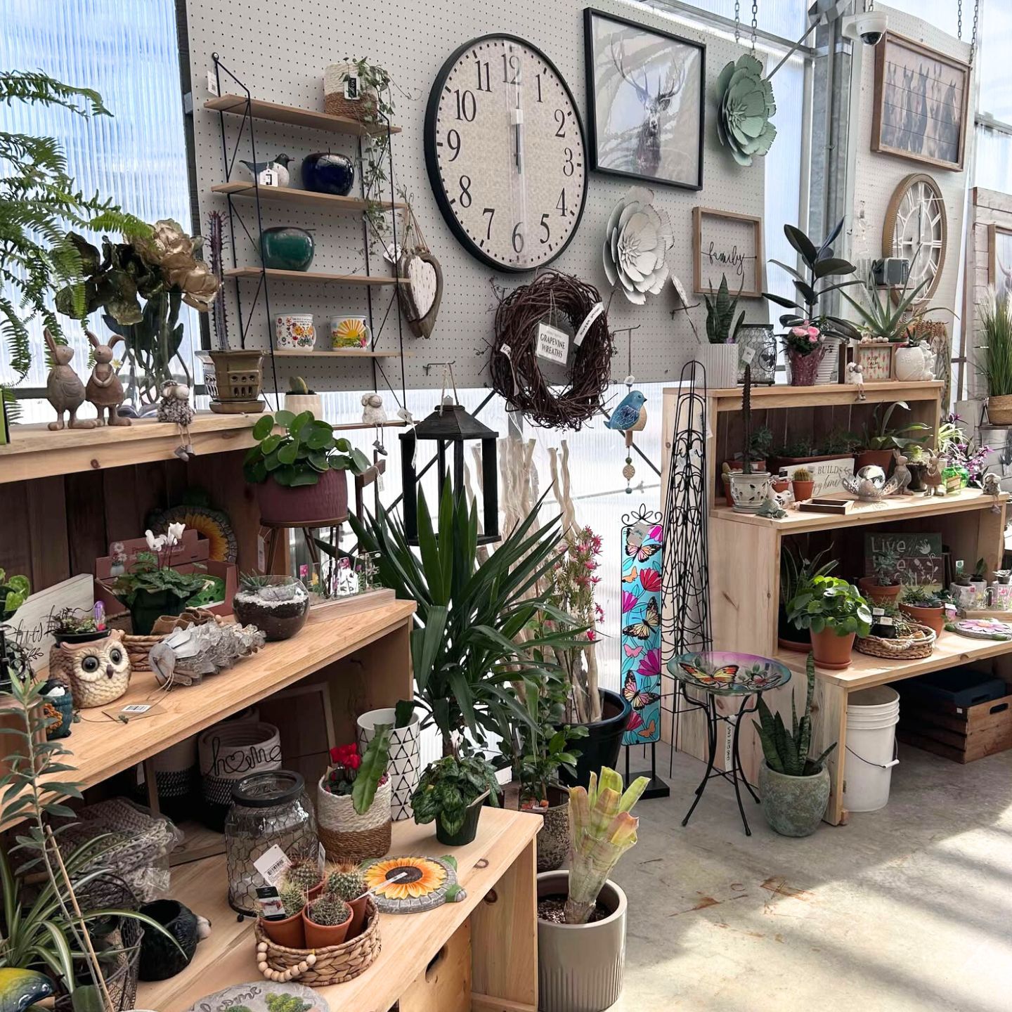 Explore Mount Forest: Your Local Midwest Coop Retail Location