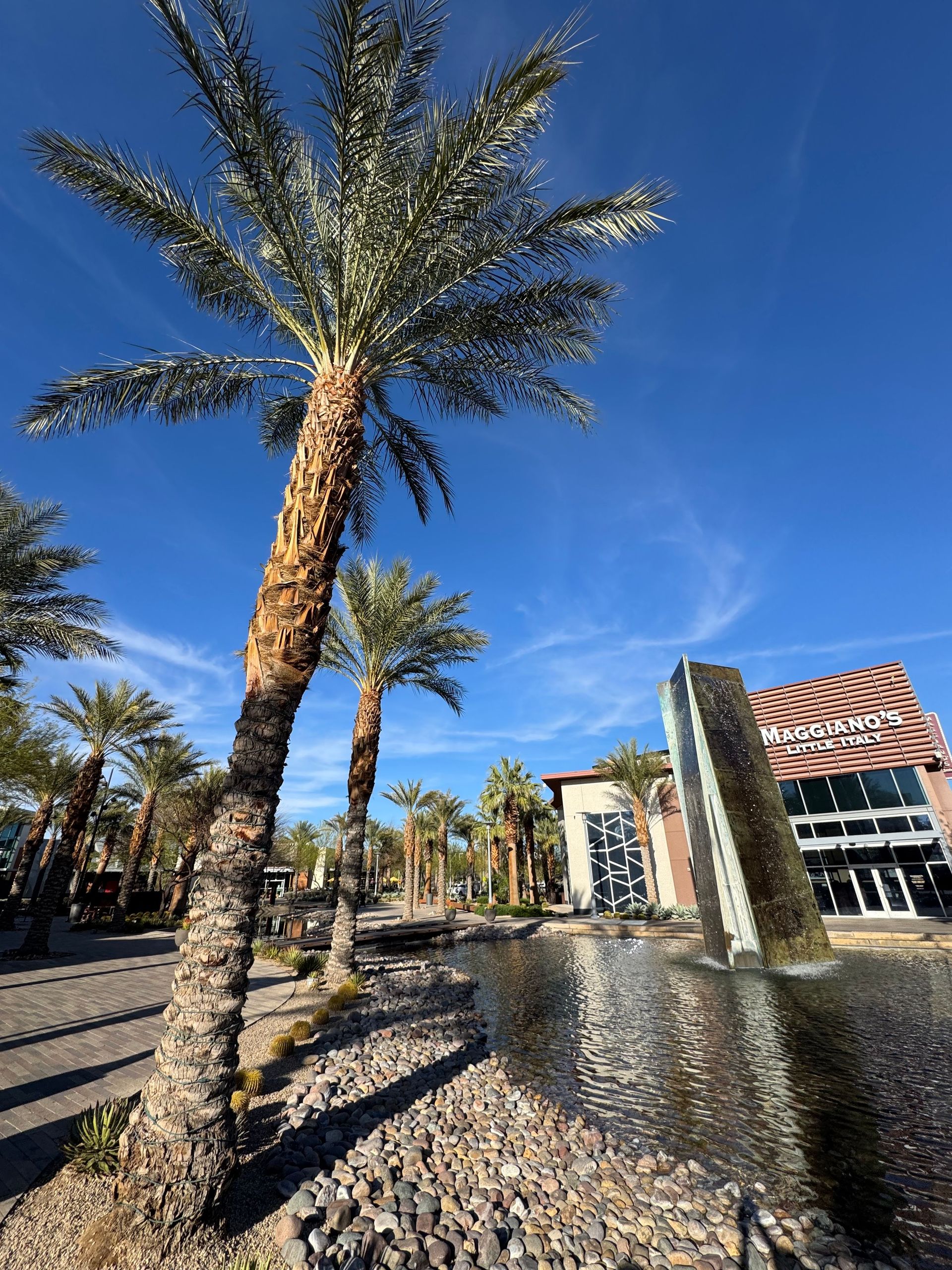 Las Vegas in July | Local Events & Things to do