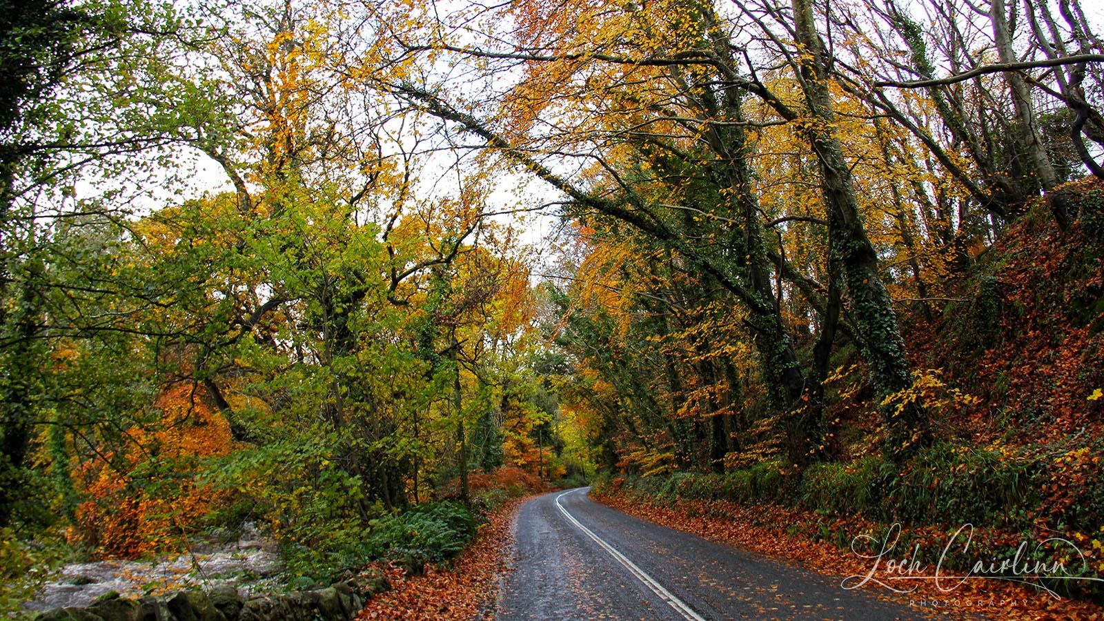 Ravensdale Tourist Information | Carlingford Tourist Office | Co. Louth