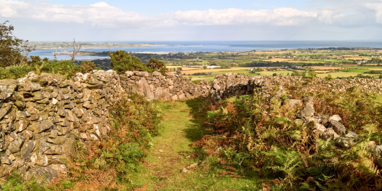 Hiking Trails | Carlingford Tourist Office | Co Louth