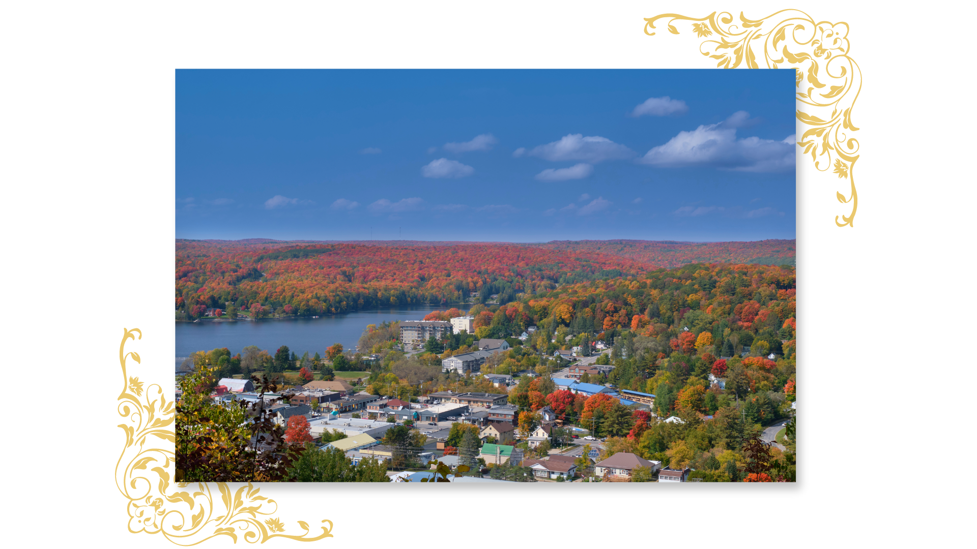 Exploring Haliburton: Why It's a Prime Real Estate Location