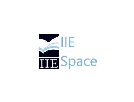 The IIE | Our Team