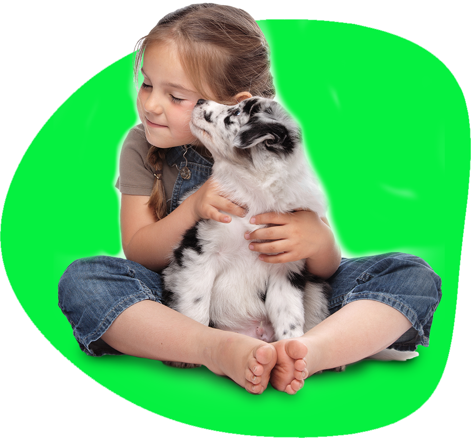 Puppy Finder – Indianapolis, IN – Puppy Match USA