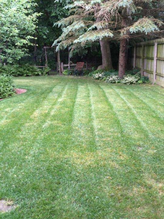 Lawn Care Services | Malterer's Landscaping | Janesville, WI