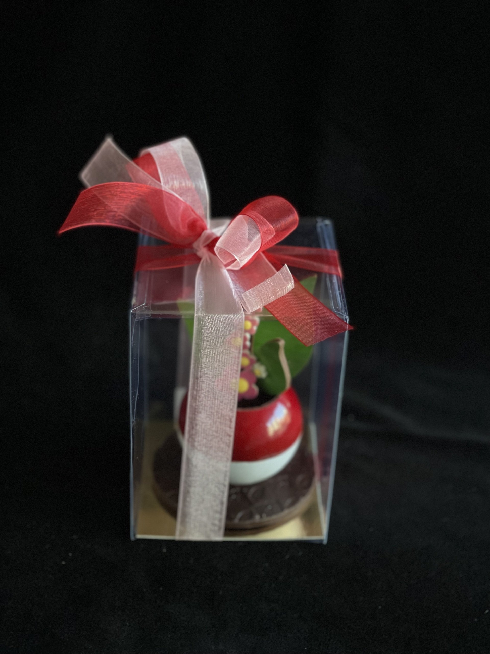 Transparent Packaging - Clear Boxes Sydney - Plastic Box Packaging ...