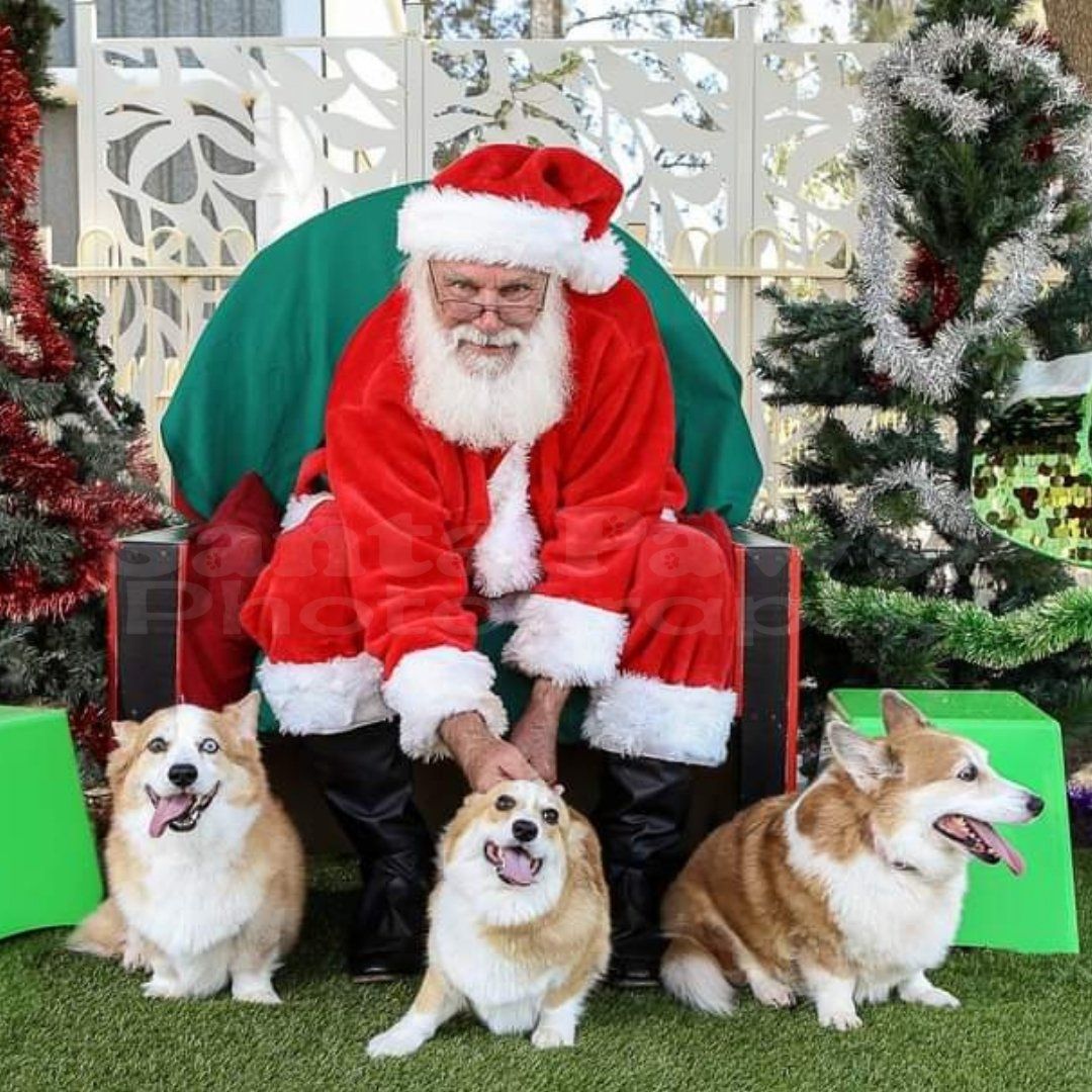 Santa Paws Photography | Toowoomba & Darling Downs