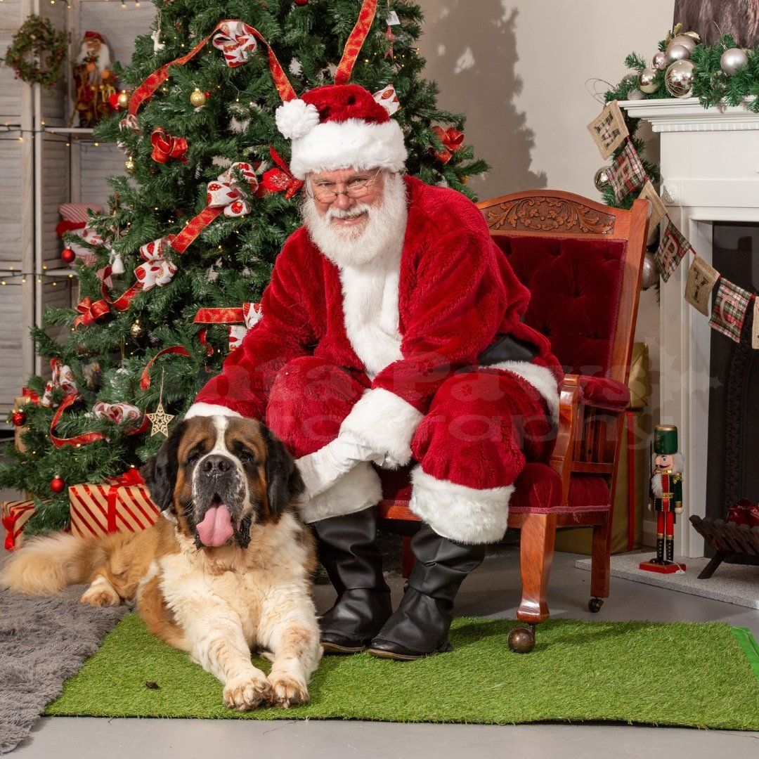 Santa Paws Photography | Toowoomba & Darling Downs