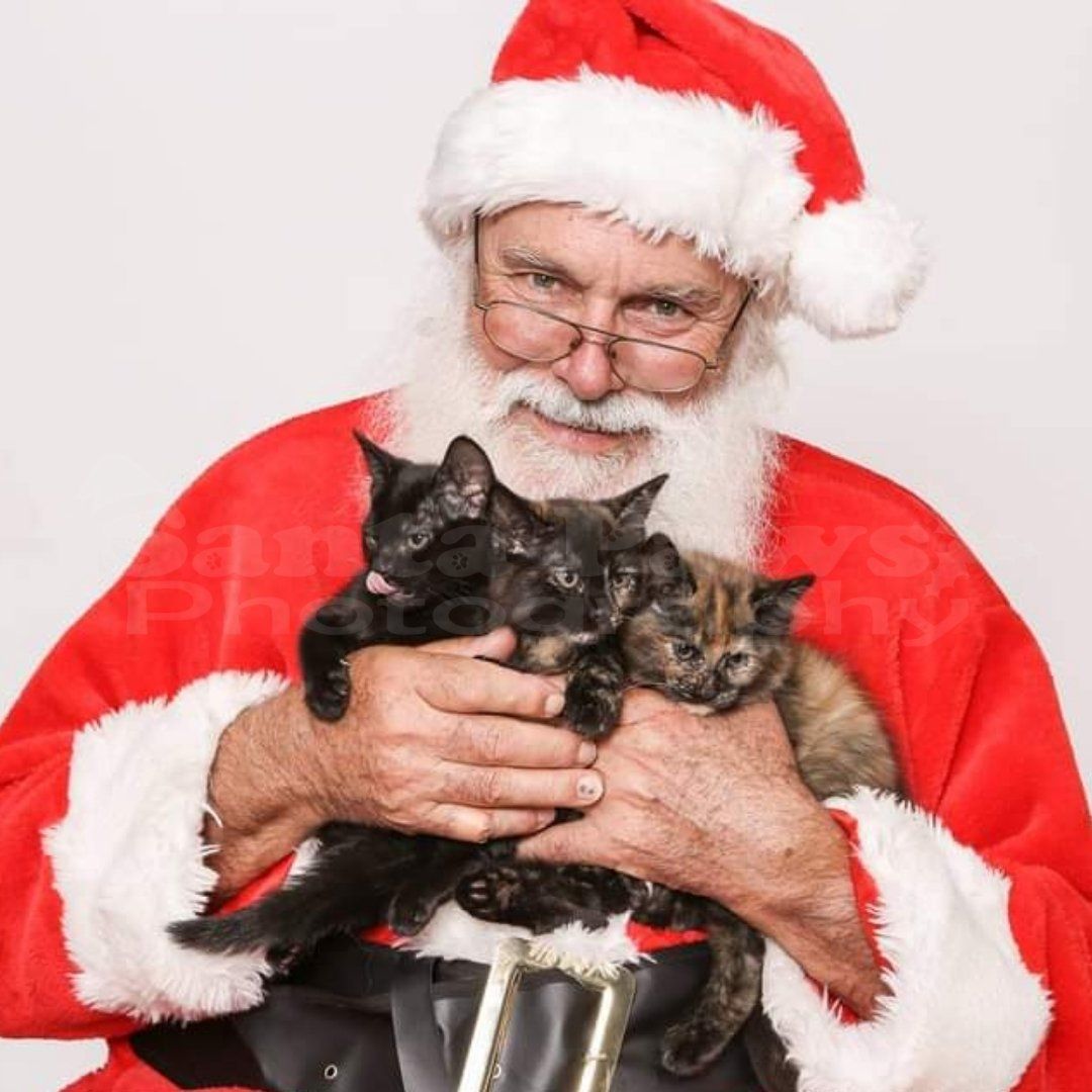 Santa Paws Photography | Toowoomba & Darling Downs