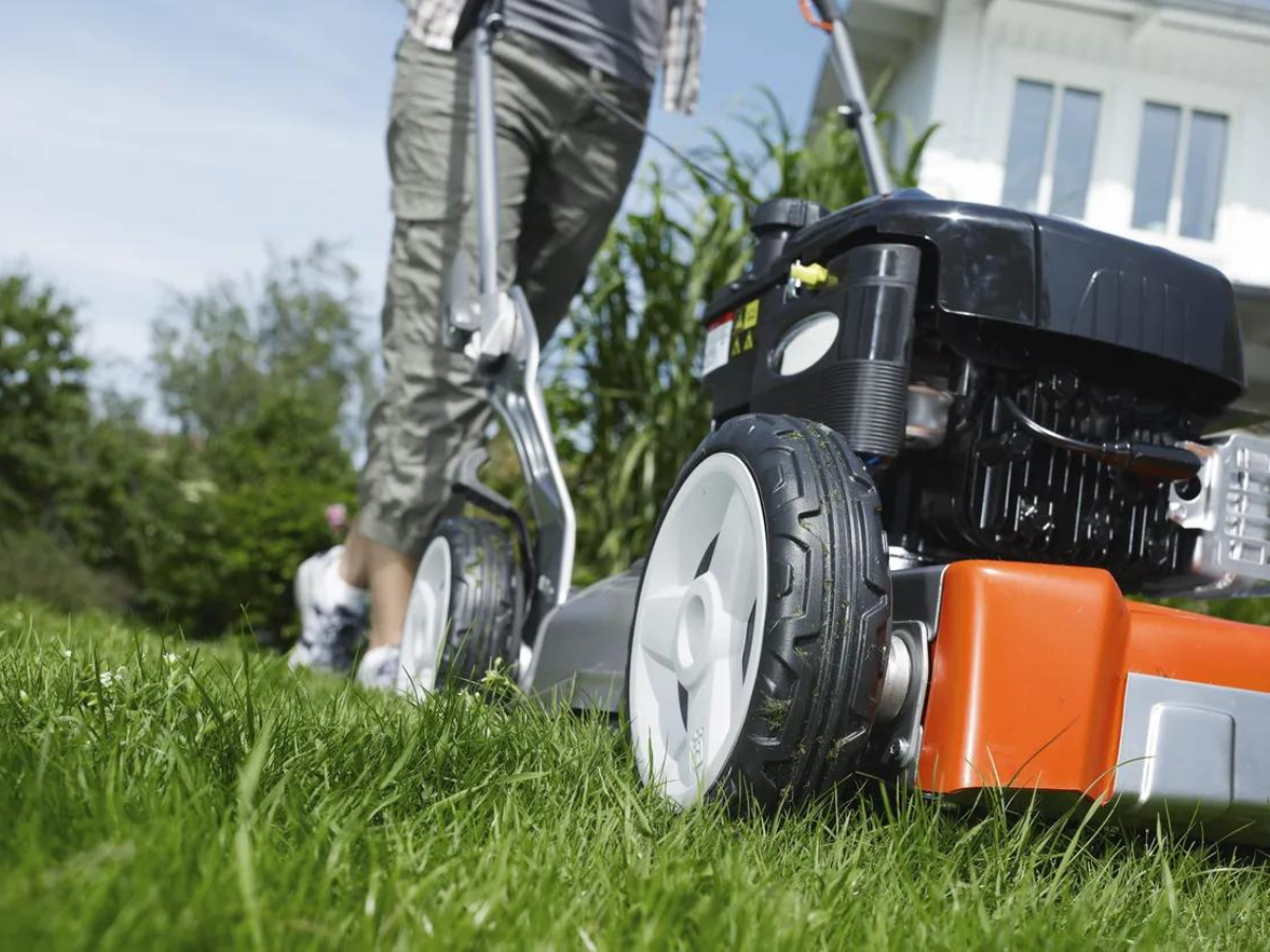 How to Control Weeds On Your Lawn | AAF Landscaping