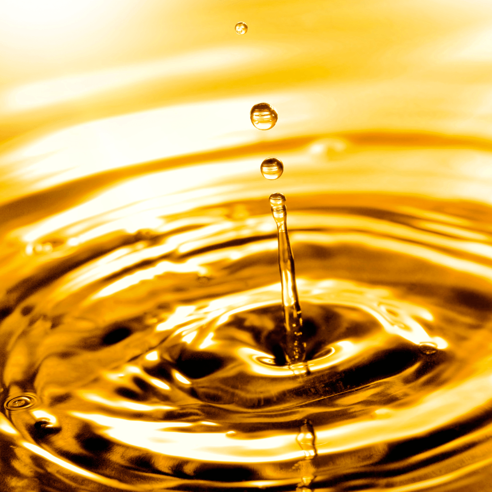 Fowler Diesel Service LLC of Mount Pleasant Mills, PA