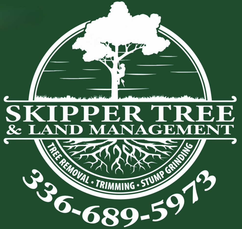 Professional Tree Removal & Land Management Services | Skipper Tree ...