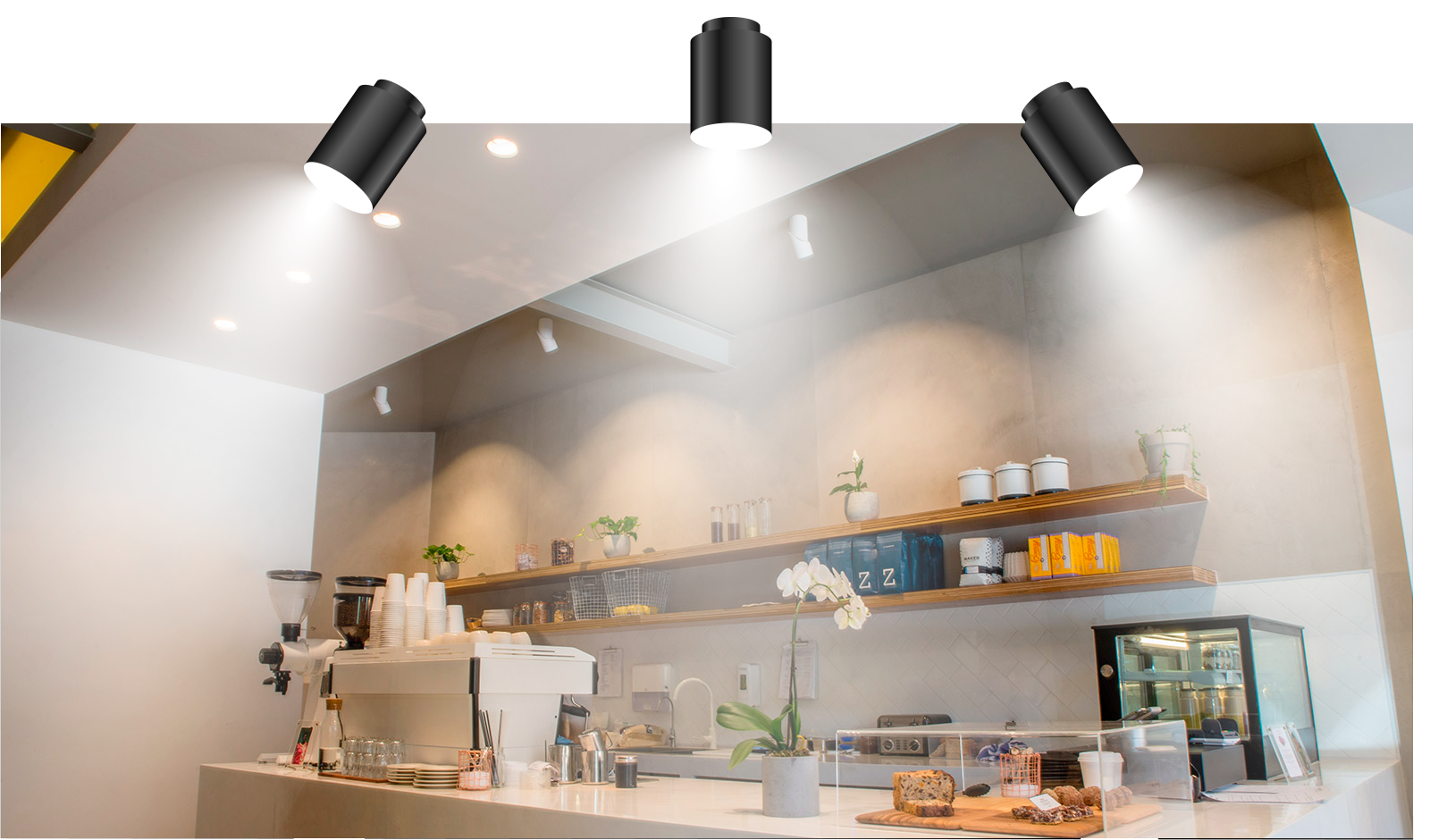 LED Lights and Bulbs Supplier Malaysia - Feel-Lite LED