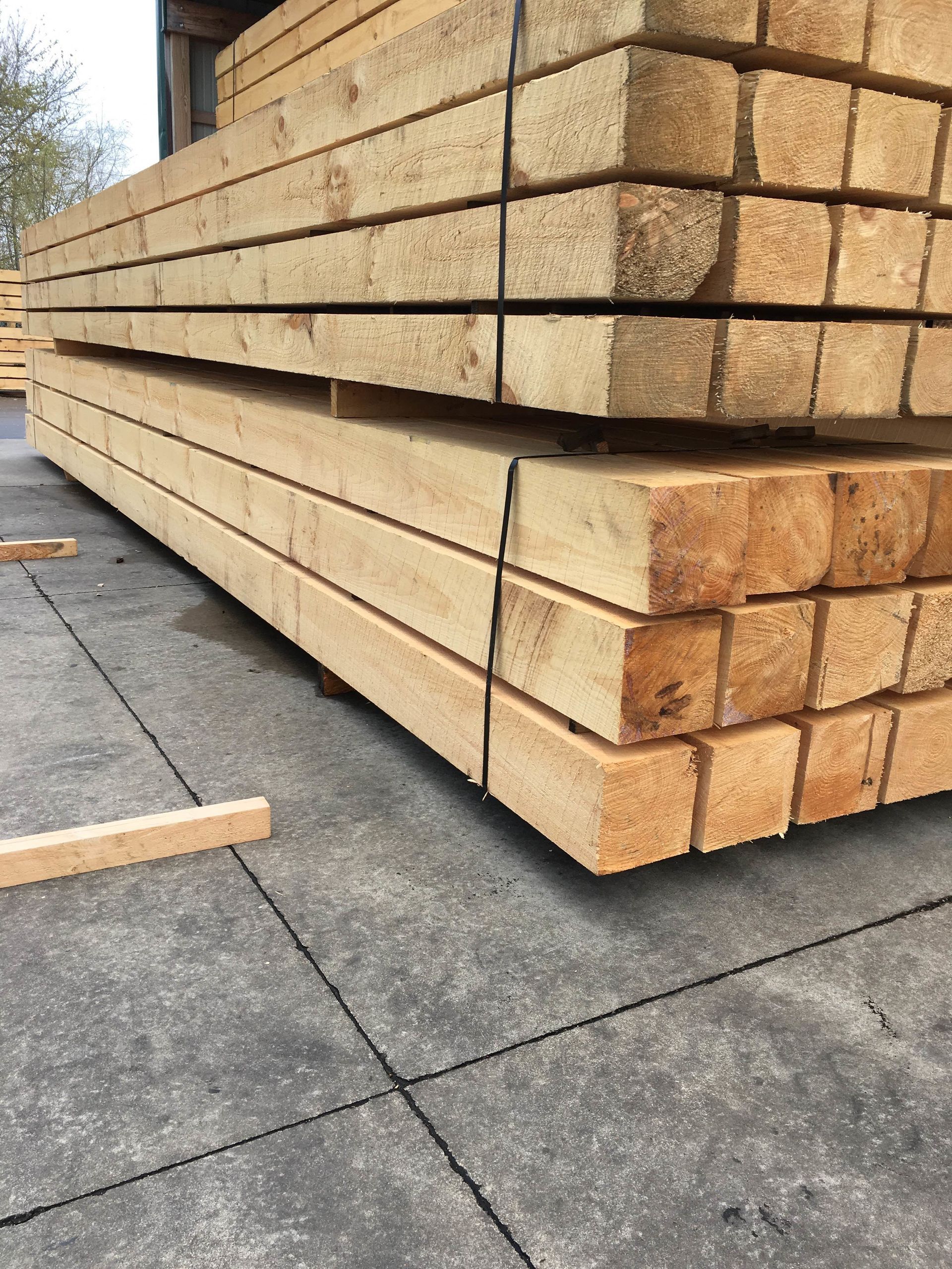 Sawmill in Charlotte, MI | Potterville Sawmill