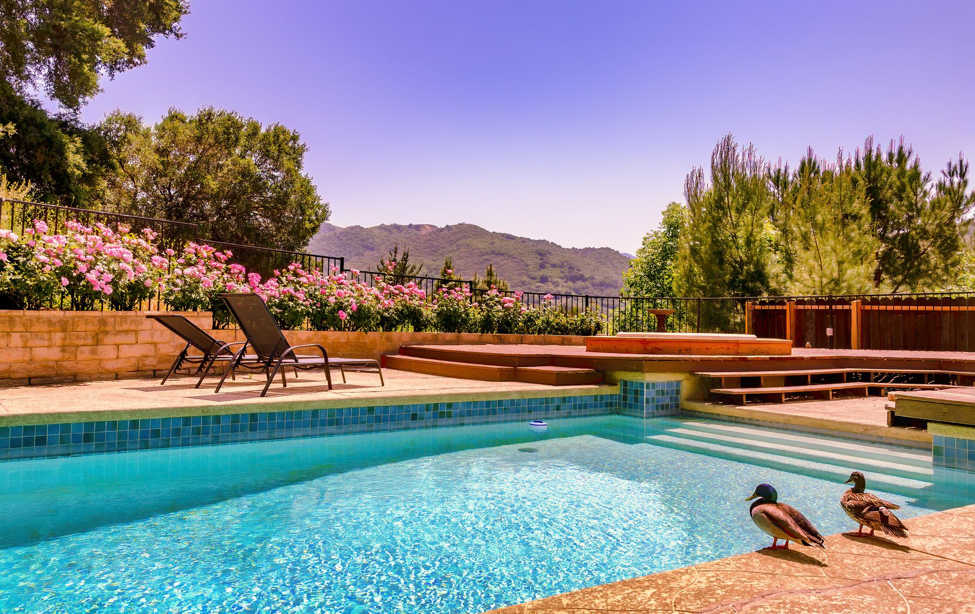 Pool Cleaning Services | Simi Valley, CA | All About Pools