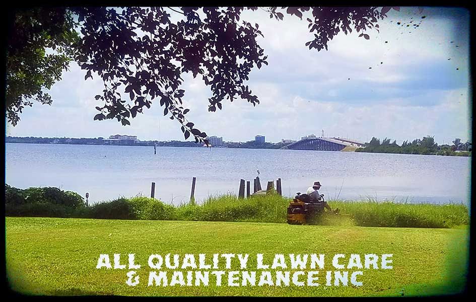 Landscaping Portfolio – Palm Bay, FL – All Quality Lawn Care