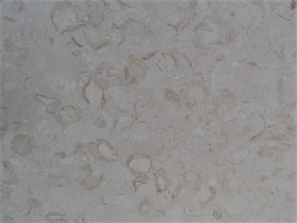 Stone&Equipment - Shell Reef