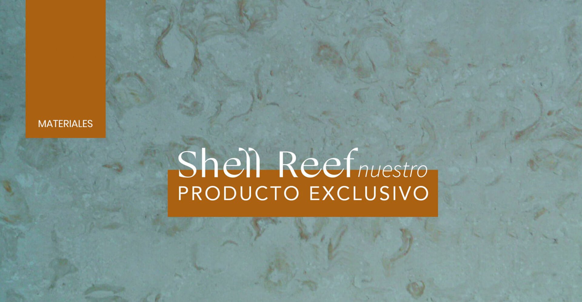 Stone&Equipment - Shell Reef