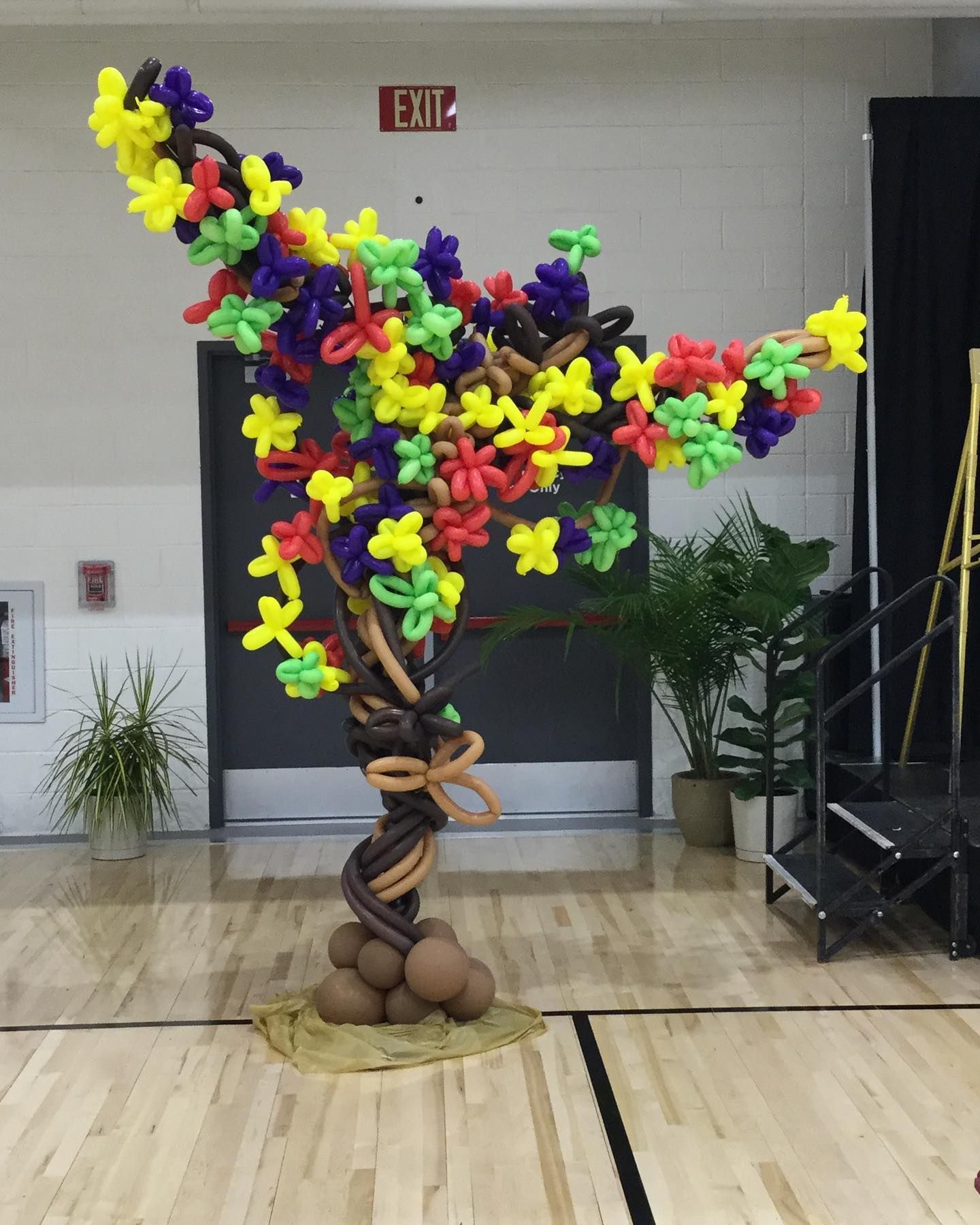 Balloon Decor in National Harbor, Maryland | Bella's Balloon Decor