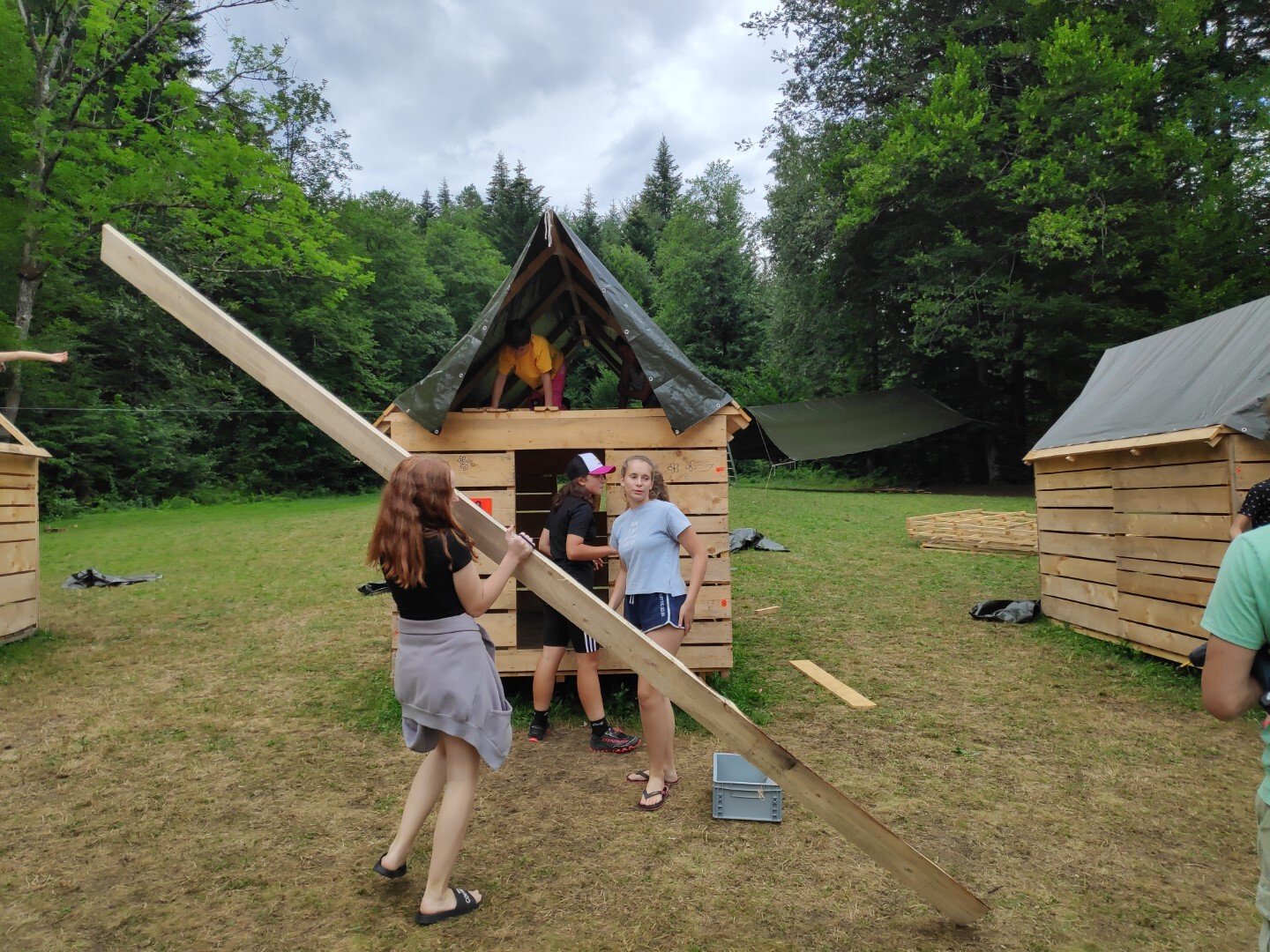 Gozdni oddelek = Nepozabni poletni tabori