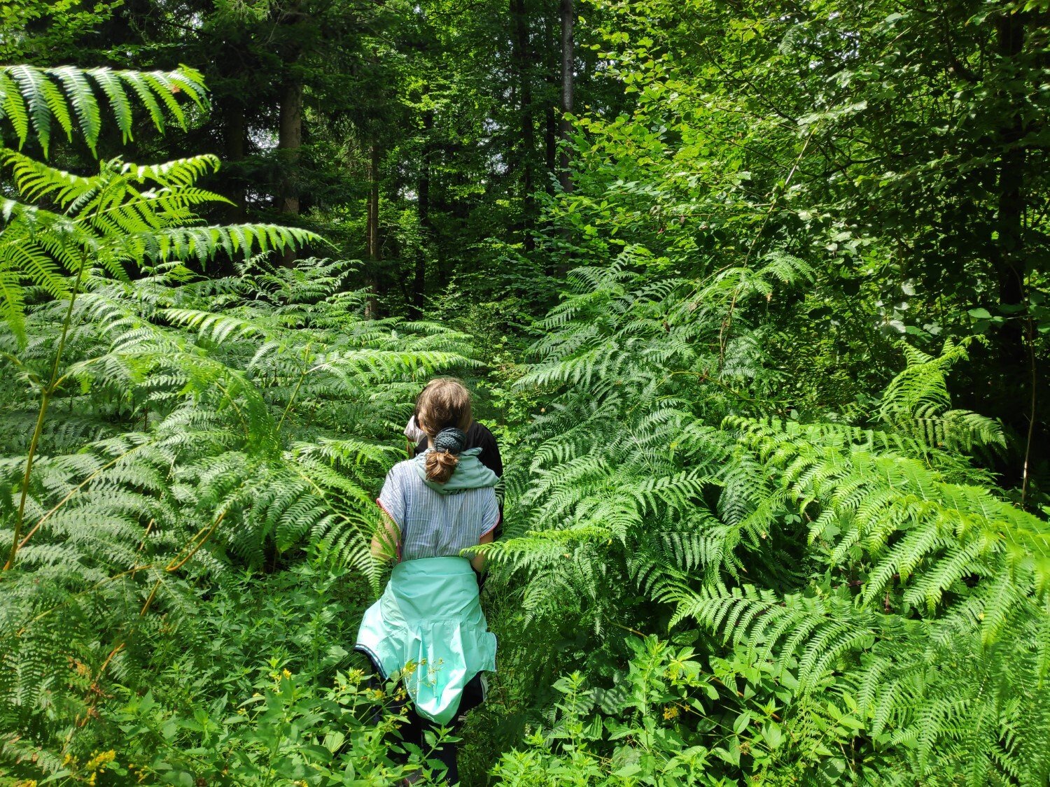 Gozdni oddelek = Nepozabni poletni tabori
