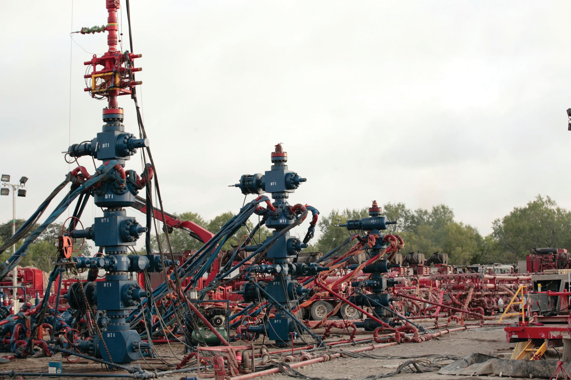 ScaleGone™ | Finoric