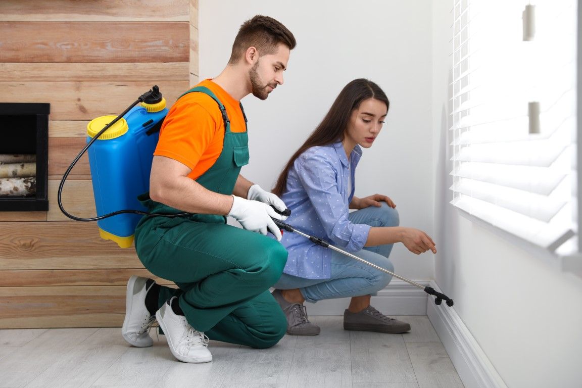 Expert Ant Extermination Services in Hopkinsville, KY