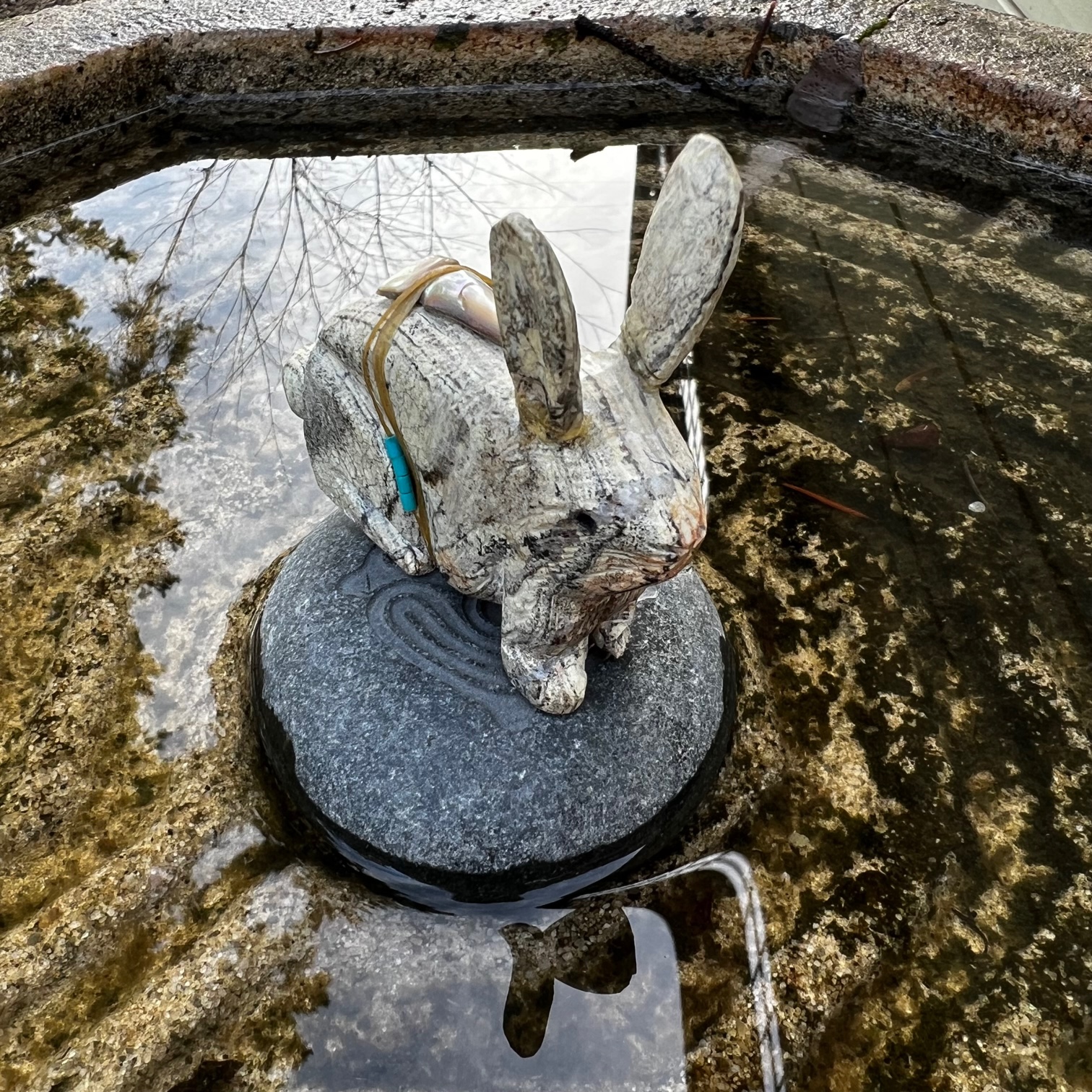 Haiku My Heart ~ Water Rabbit