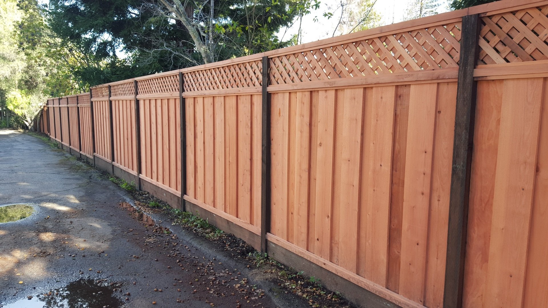 Fencing & Gates | All Fence Company | Bay Area