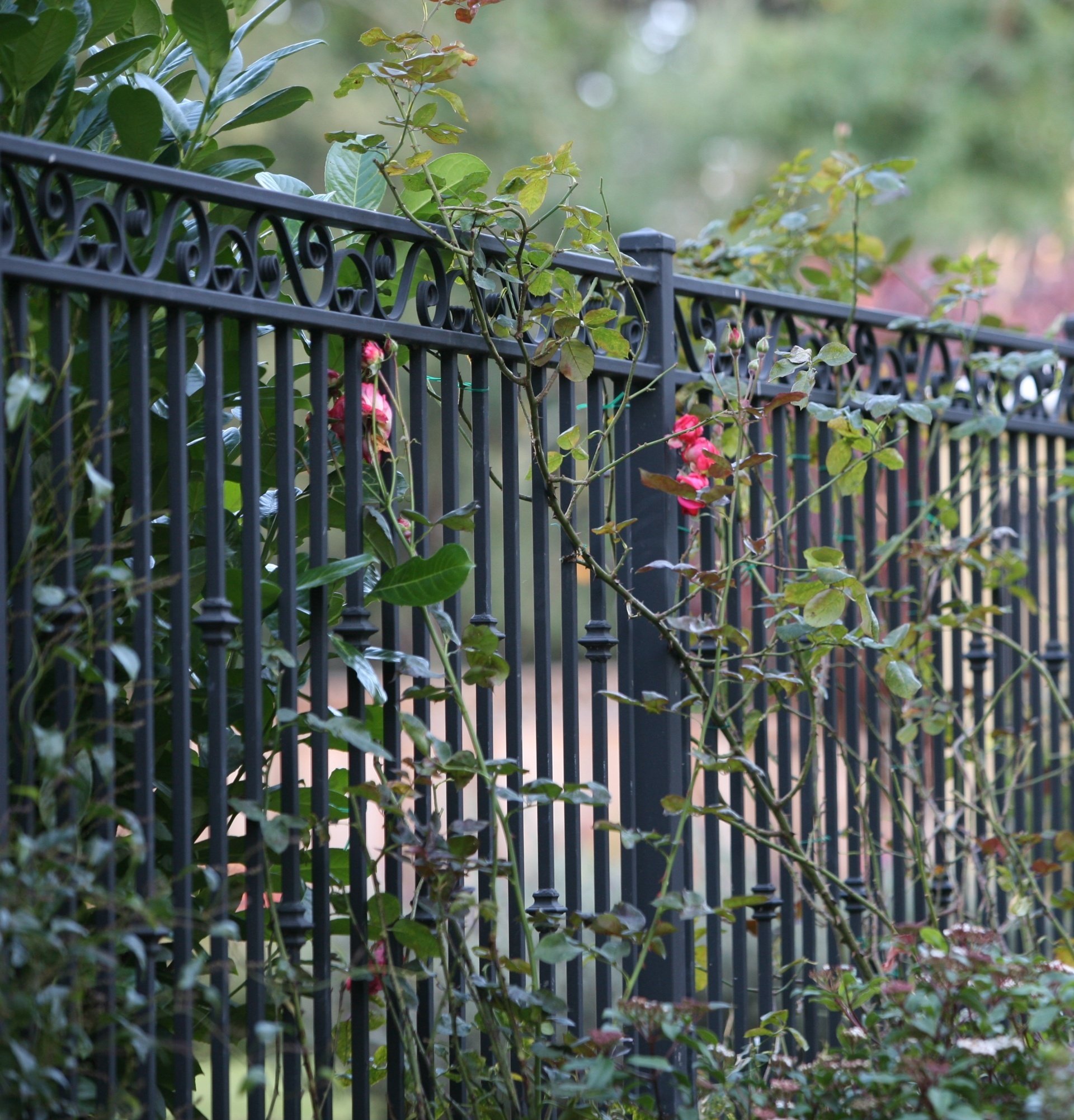 Fencing & Gates | All Fence Company | Bay Area