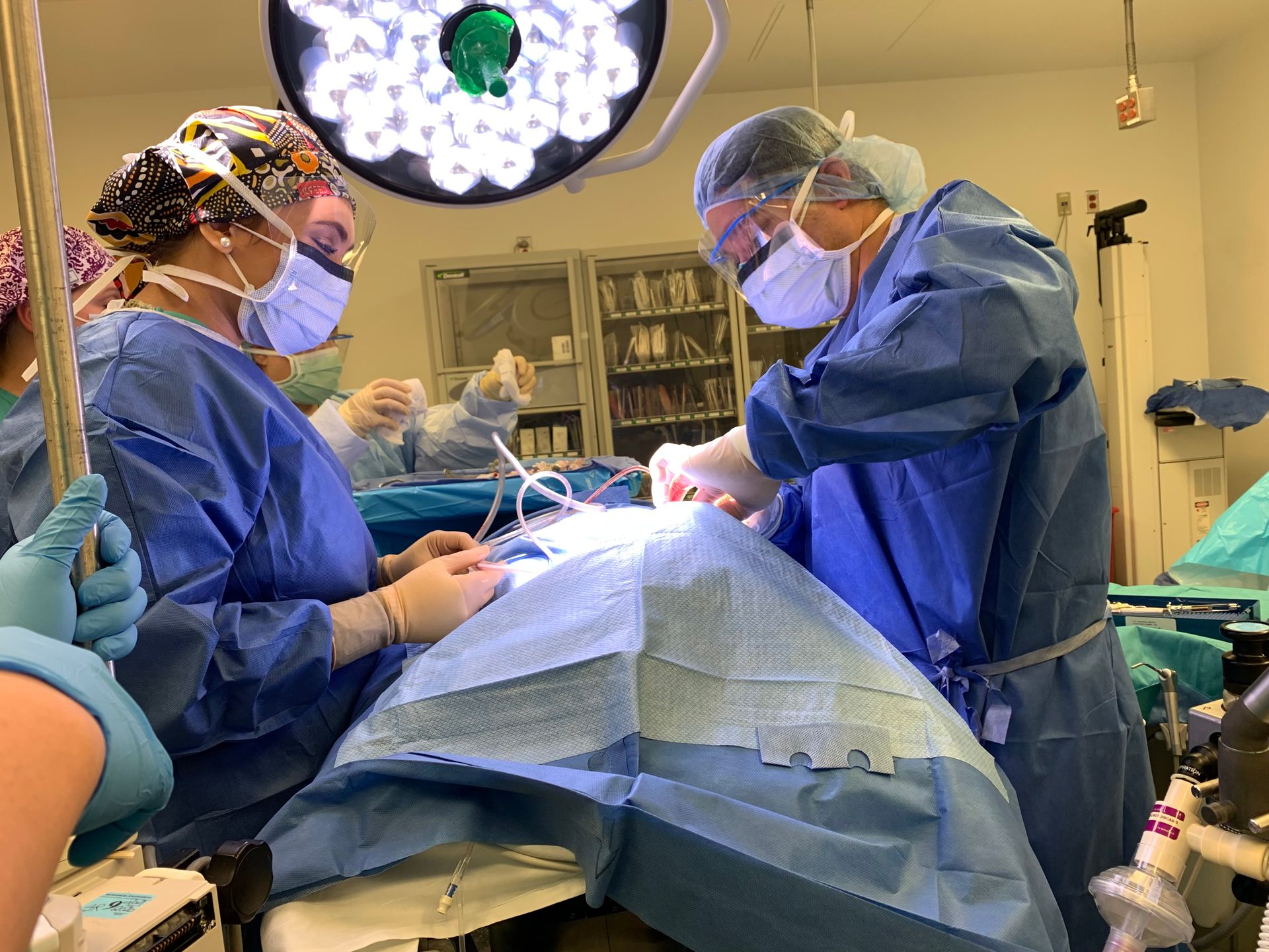 About Our Pediatric Dental Team In Tinton Falls, NJ