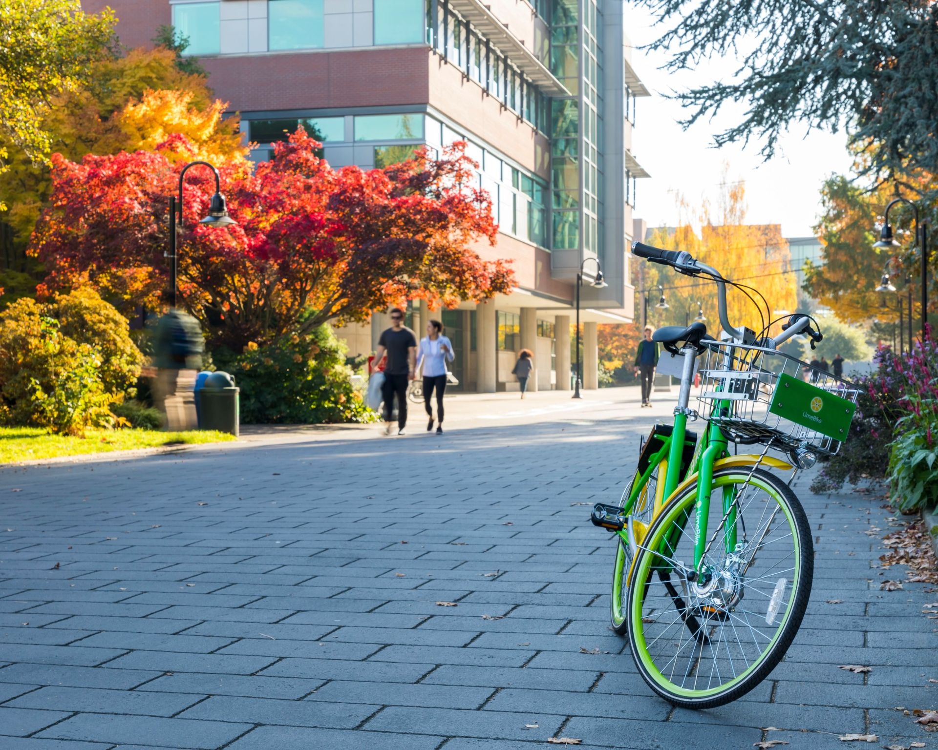 Apartments | Stylish Units & Amenities | Seattle