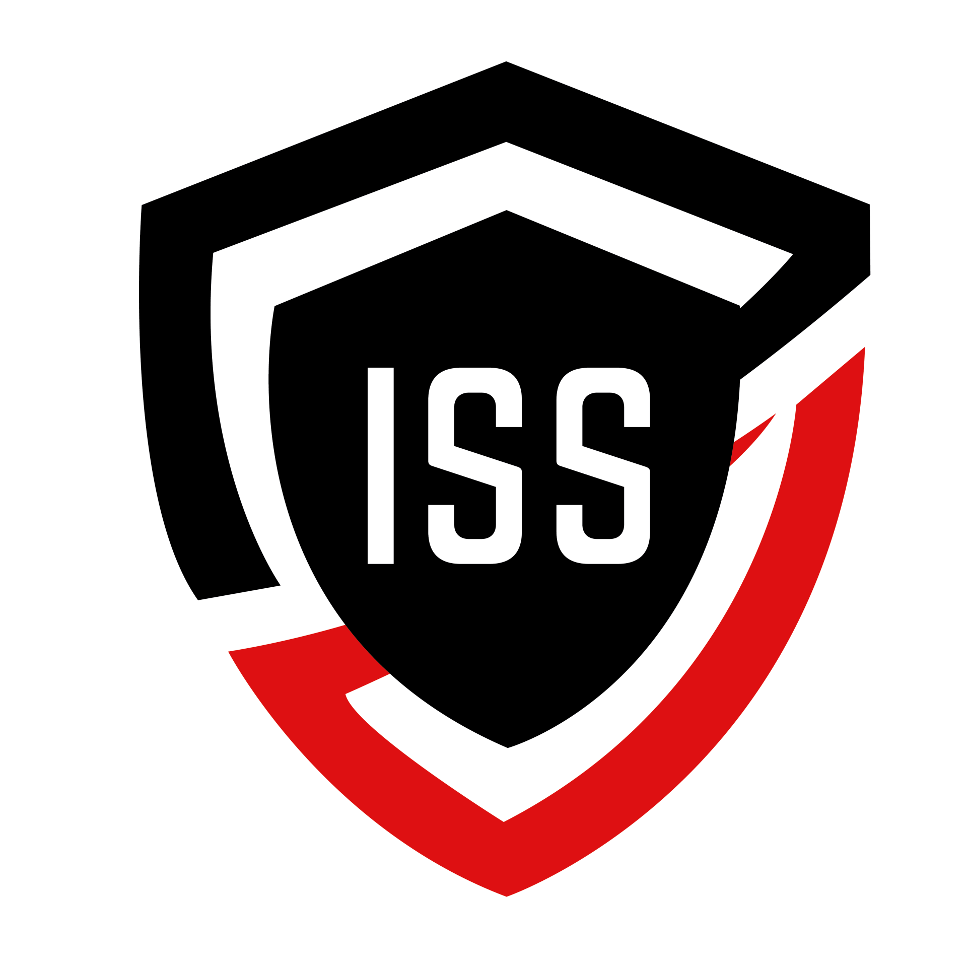 Washington DC Security Services | Interactive Security Solutions