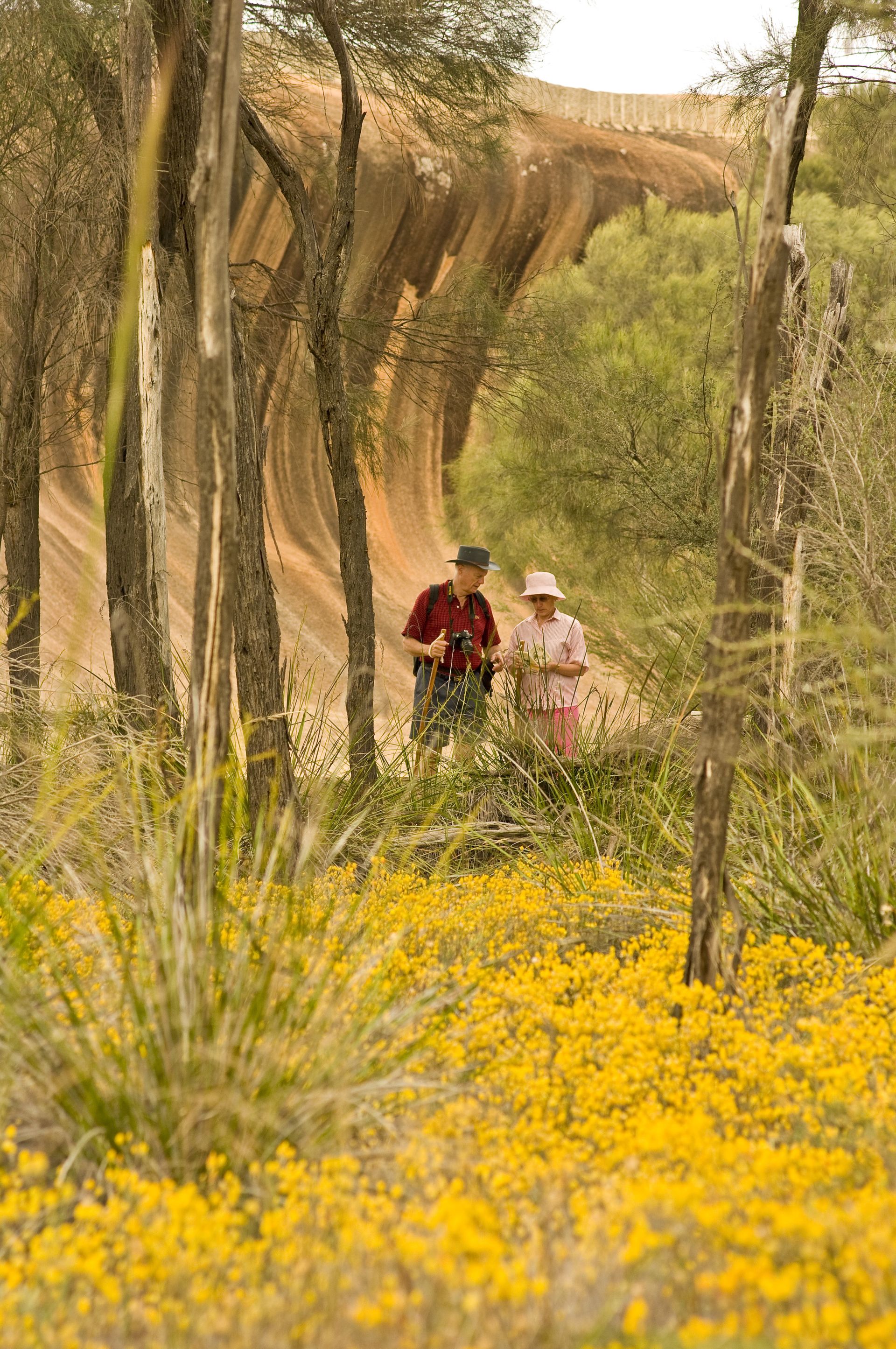 Hyden & the Wheatbelt Wildflower Trail