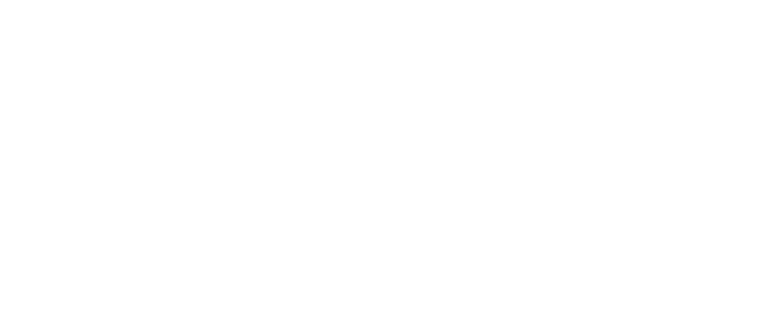 Insurance Company | Insurance First, Inc.