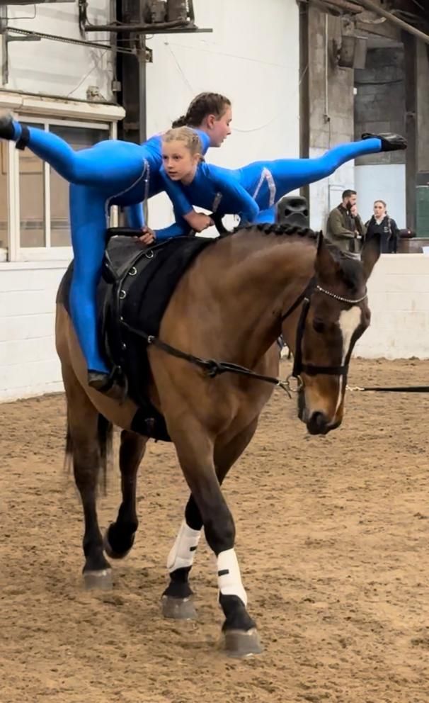 Equestrian vaulting | Lads Lodge Riding Centre