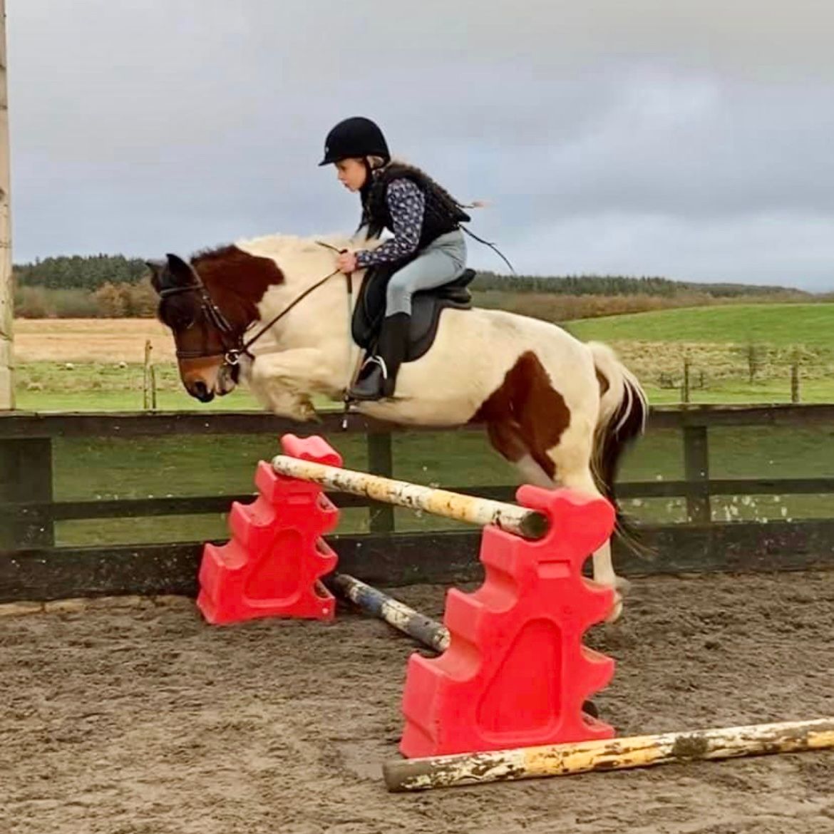 Horse riding centre | Lads Lodge Riding Centre